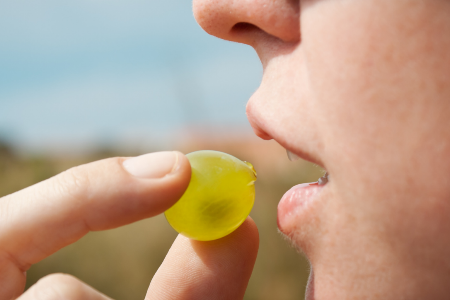 Everything You Need to Know About Mindful Eating - Natural Kitchen ...